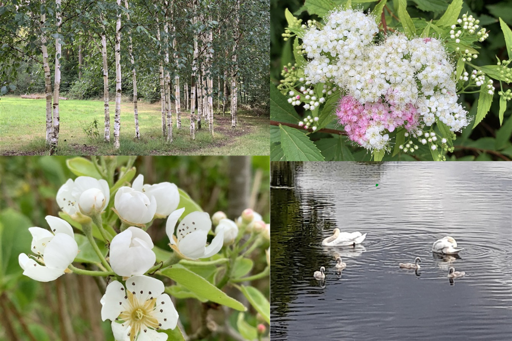Approaching Autumn - Celebrating the Online Community Seasonal Picture ...