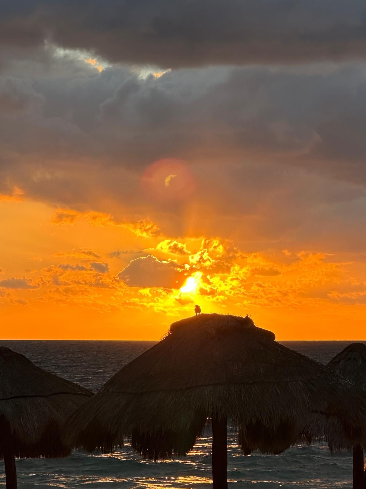 Post 210: Tears; for fears. - Macmillan Online Community