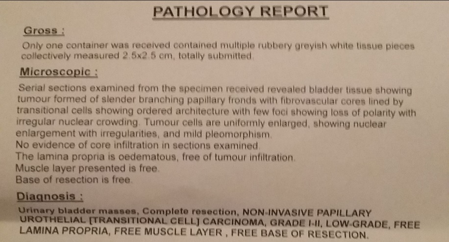 Pathology Report
